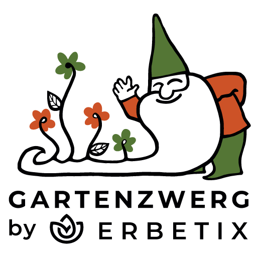 Detroit Runtz (DTR) – Clone Only | GartenZwerg